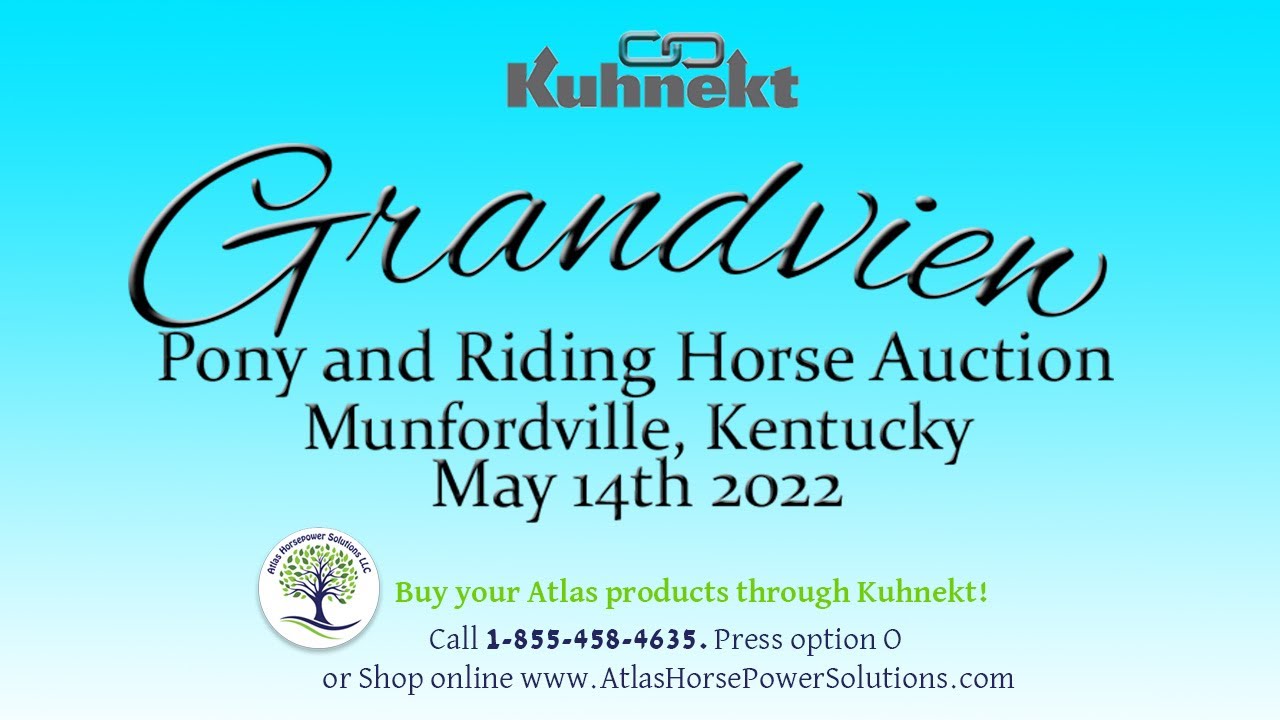 Grandview Pony & Driving Horse Sale - Spring 2022 - YouTube