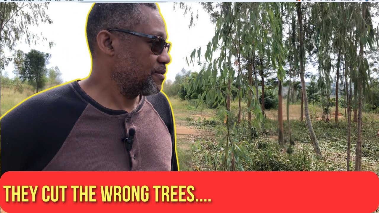 Planting Fruit Trees in Rwanda – But This Wasn’t the Plan - YouTube