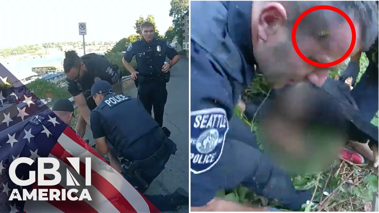 Police SWARMED by wasps during arrest of carjacking suspect - YouTube