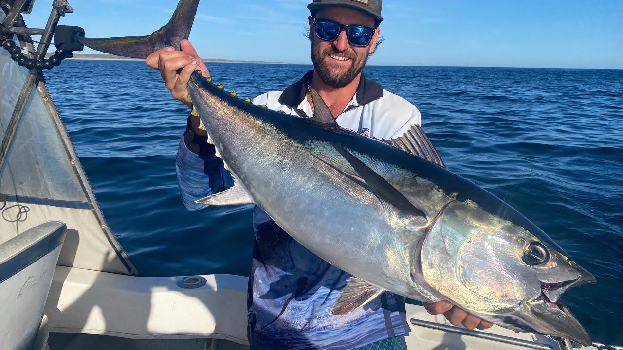 3 Tuna in 3 hours on the water!! offshore from Phillip Island! - YouTube