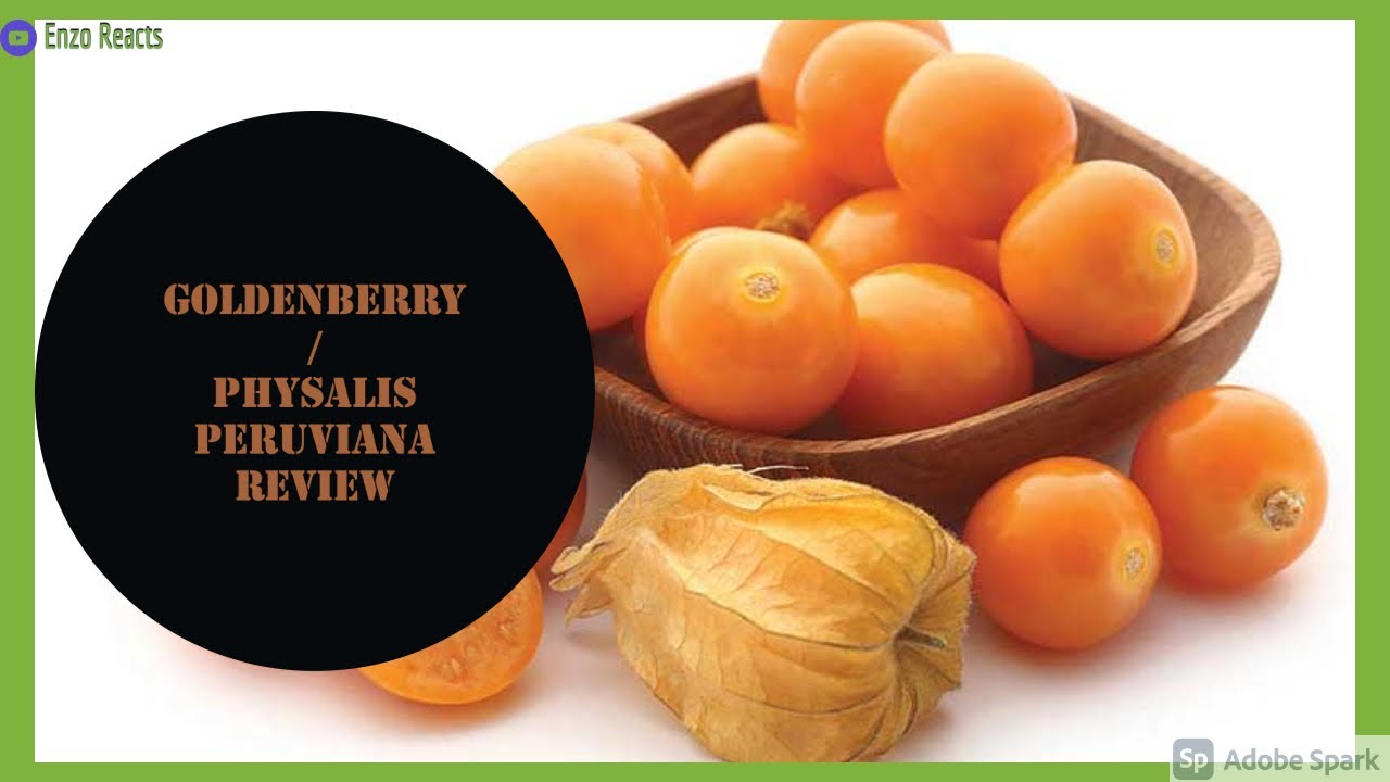 Goldenberry / Physalis Peruviana Review + Taste Test - YouTube