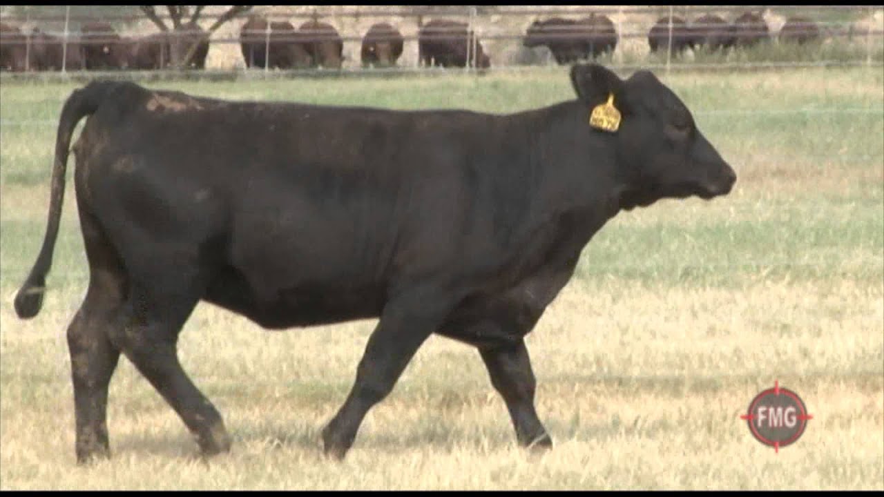 LOT 1622 RA Brown Ranch - YouTube