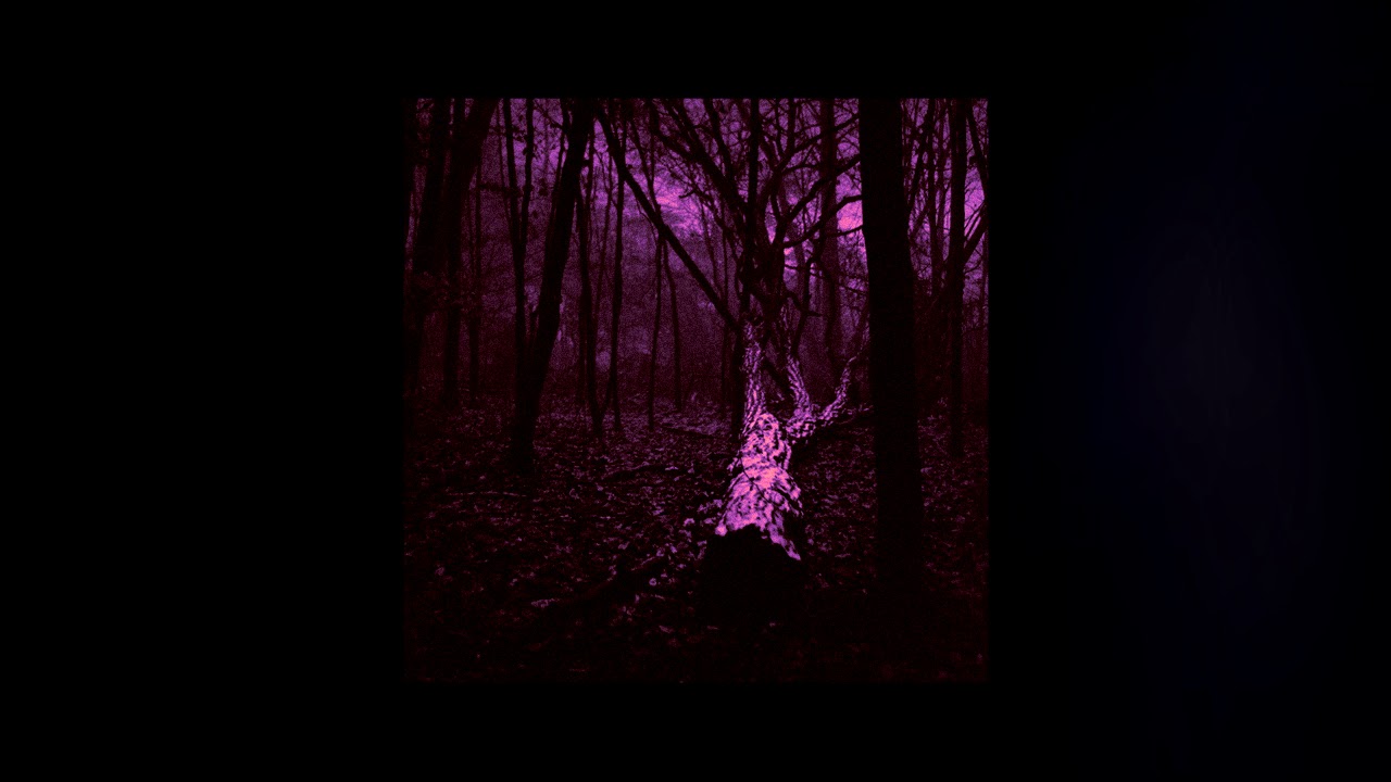 "Dense forest" OLD SCHOOL BOOM BAP GUITAR BEAT Prod. MerrieMel ...