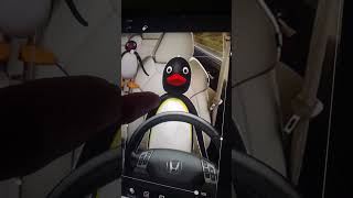 Pingu pinga Is Yes Drive #funny