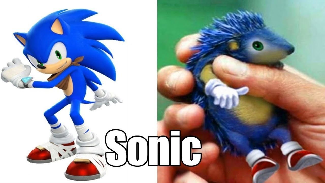 sonic in real life - YouTube