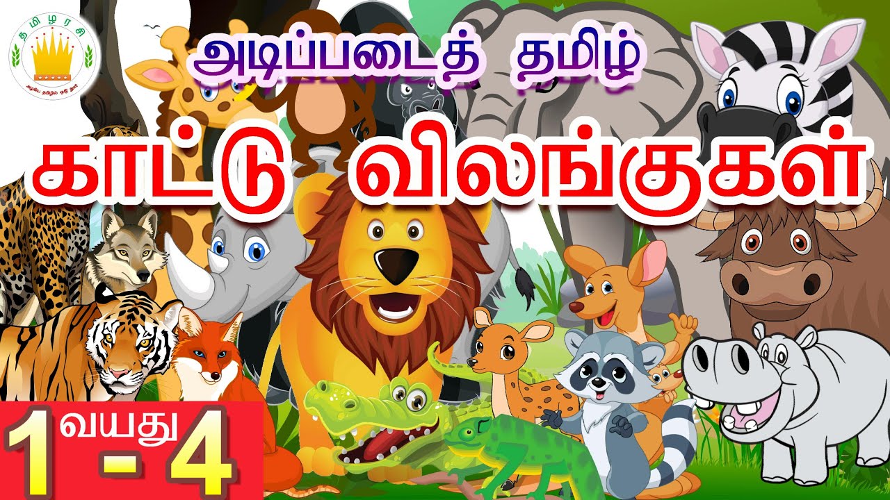 காட்டு விலங்குகள்| Kattu vilangugal | Tamil Wild animals name video for ...