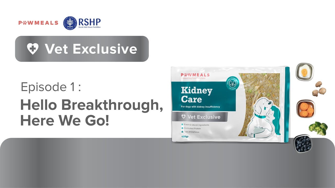 Episode 1 Vet Exclusive - Hello breakthrough, here we go! - YouTube