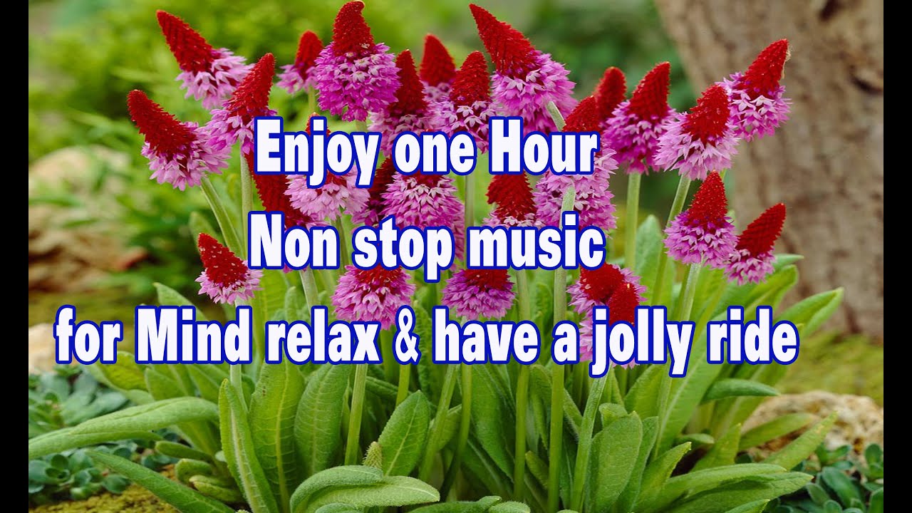 One hour non stop music for mind relax & a Jolly ride (Music-7) - YouTube