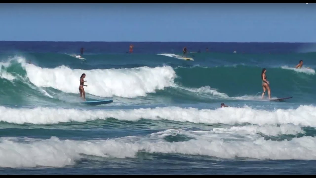 Waikiki Surf - Girls Rule - YouTube