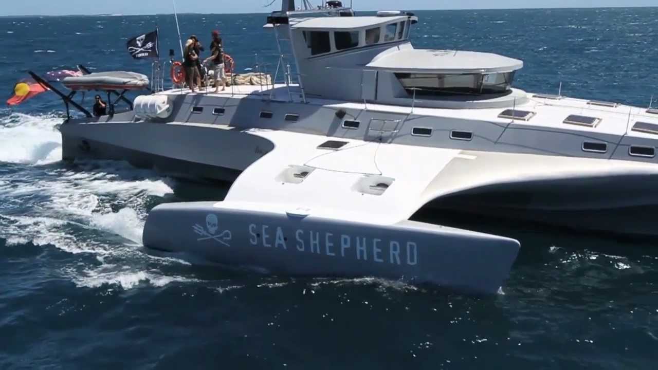 The Brigitte Bardot Returns - YouTube