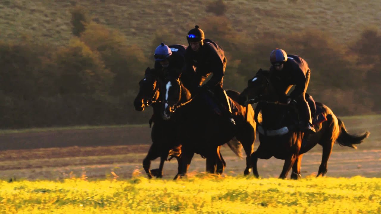 Alan King Racing - YouTube