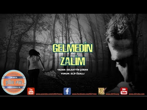 GELMEDİN ZALİM | Şiir - Selaattin Çoban | Yorum - Elif Özallı | www.siirfm.org