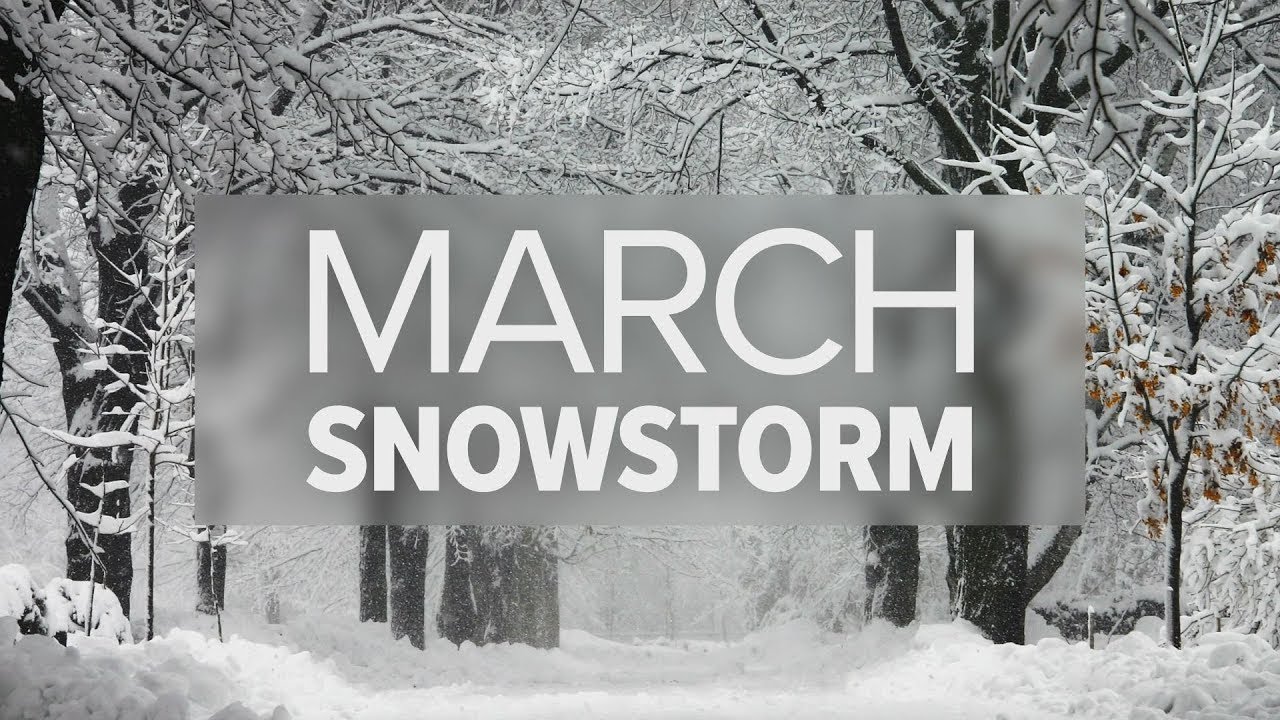 Colorado Snow Storm: Live Coverage - YouTube