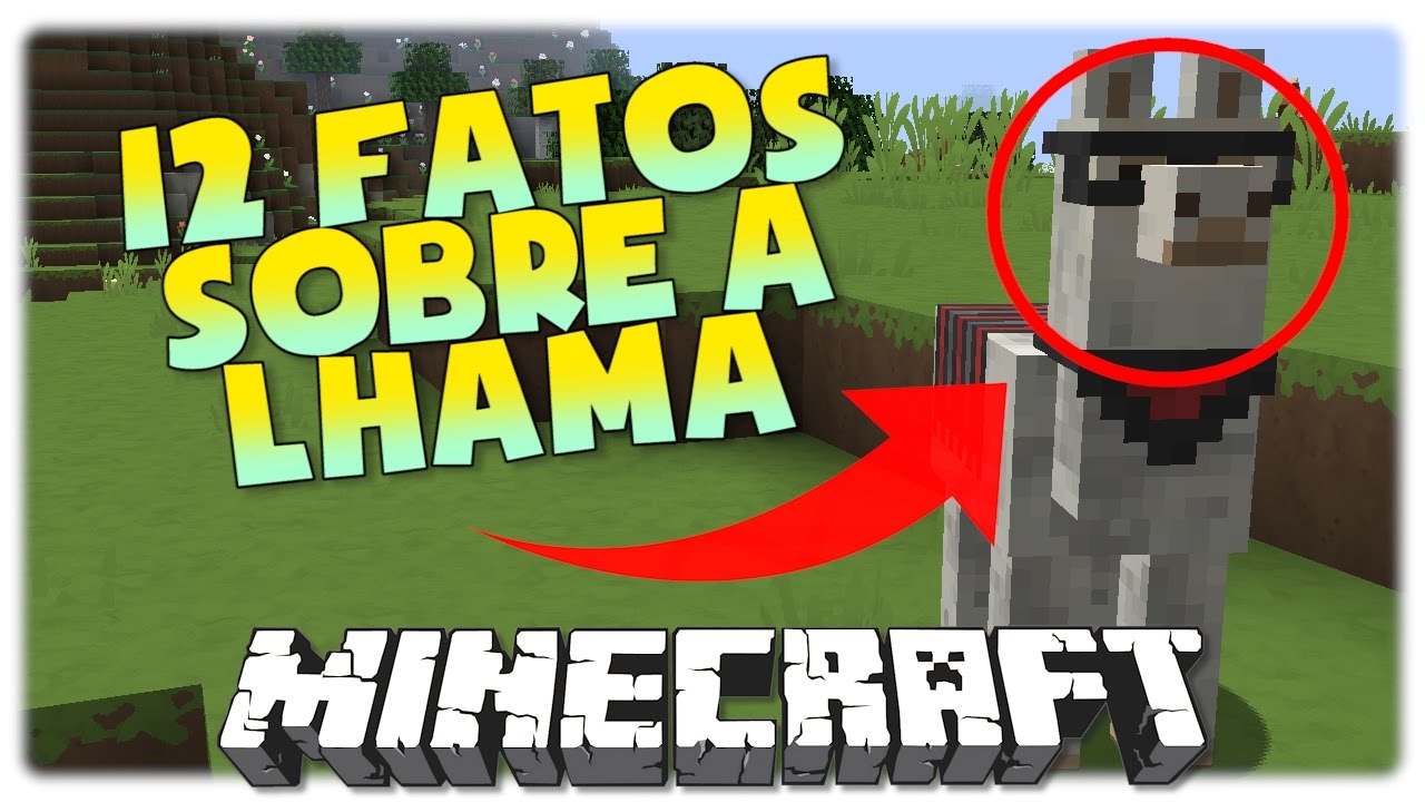 12 COISAS QUE VOCÊ NÃO SABE SOBRE A LHAMA DO MINECRAFT! - YouTube