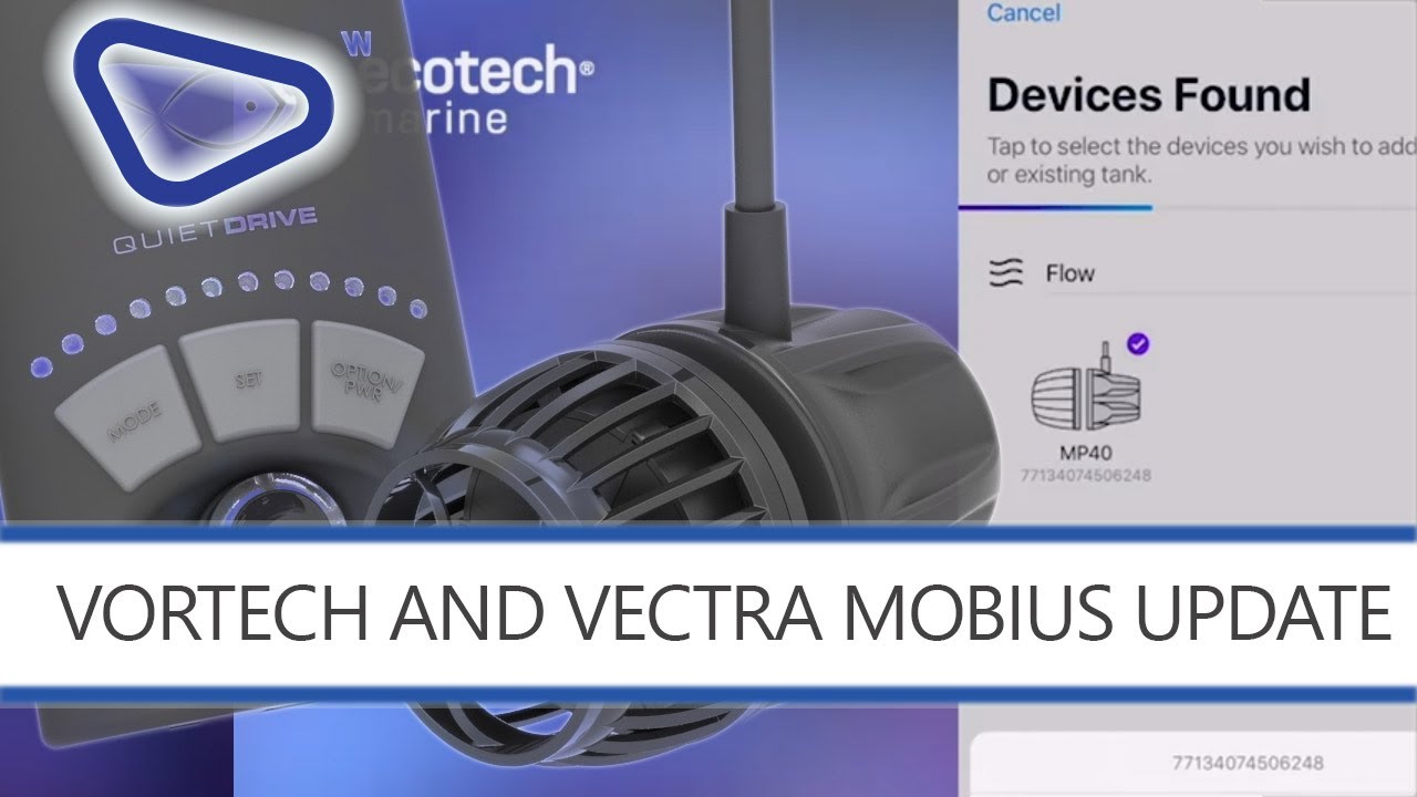 VorTech and Vectra Legacy Updates in Mobius - YouTube