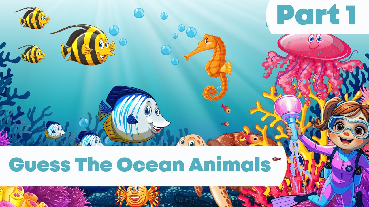 Guess the Ocean Animal! Learn Vocabulary with Anshu 🌊🐠 – Part 1 - YouTube