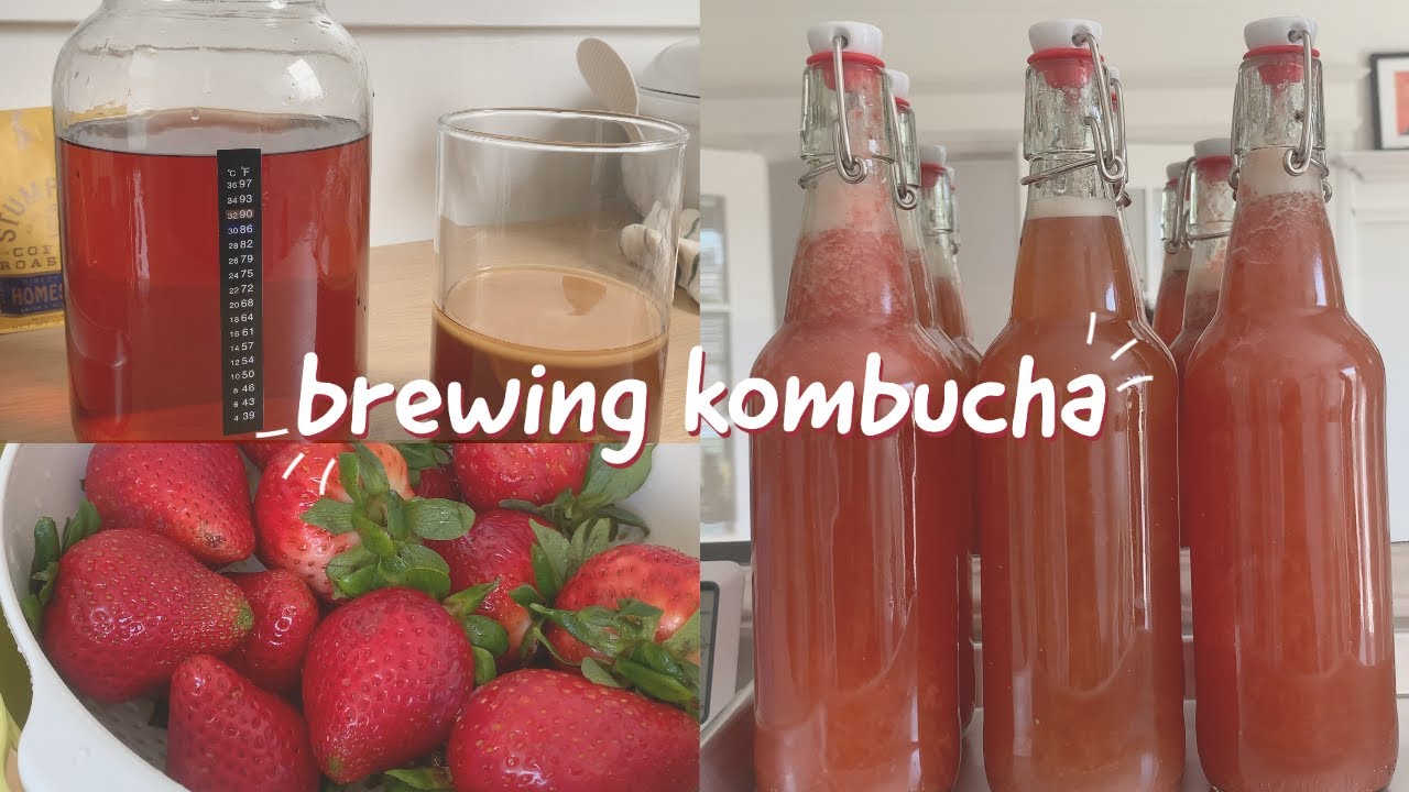 Brewing homemade kombucha | Strawberry lemon ginger kombucha - YouTube