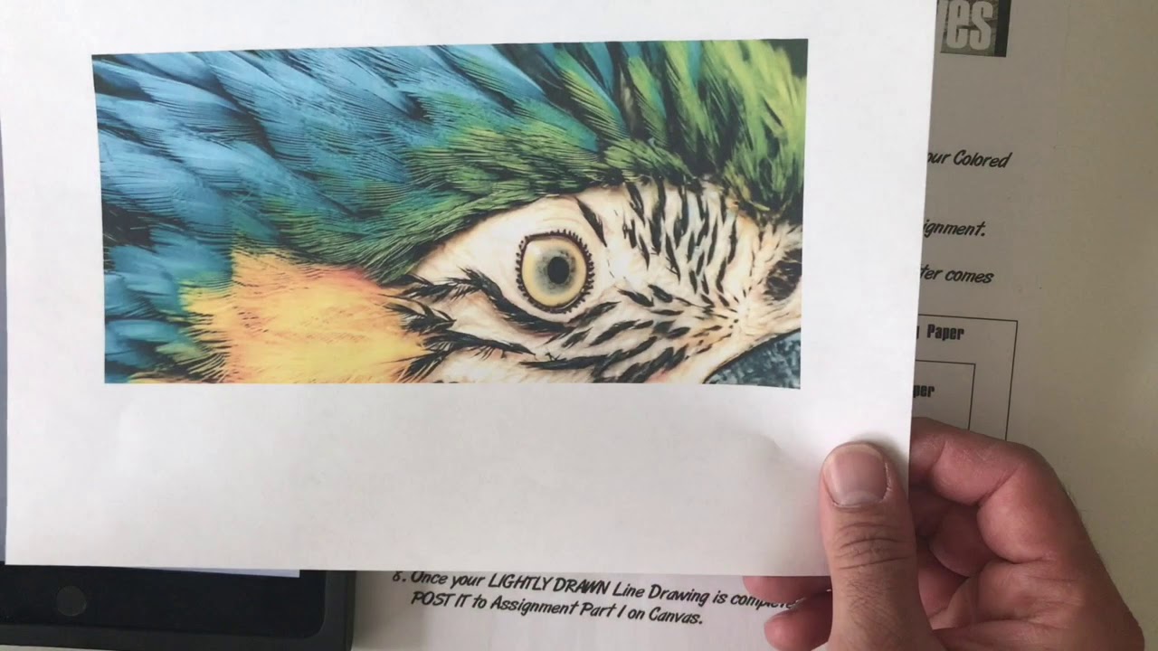 Colored Pencil Animal Eyes Part 1 Setup - YouTube