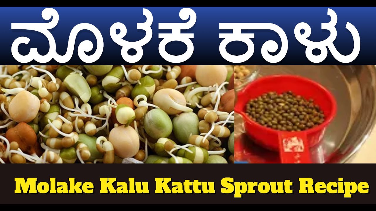 ಮೊಳಕೆ ಕಾಳು Molake Kalu Kattu Sprout Recipe | How To Grow Sprouts at ...