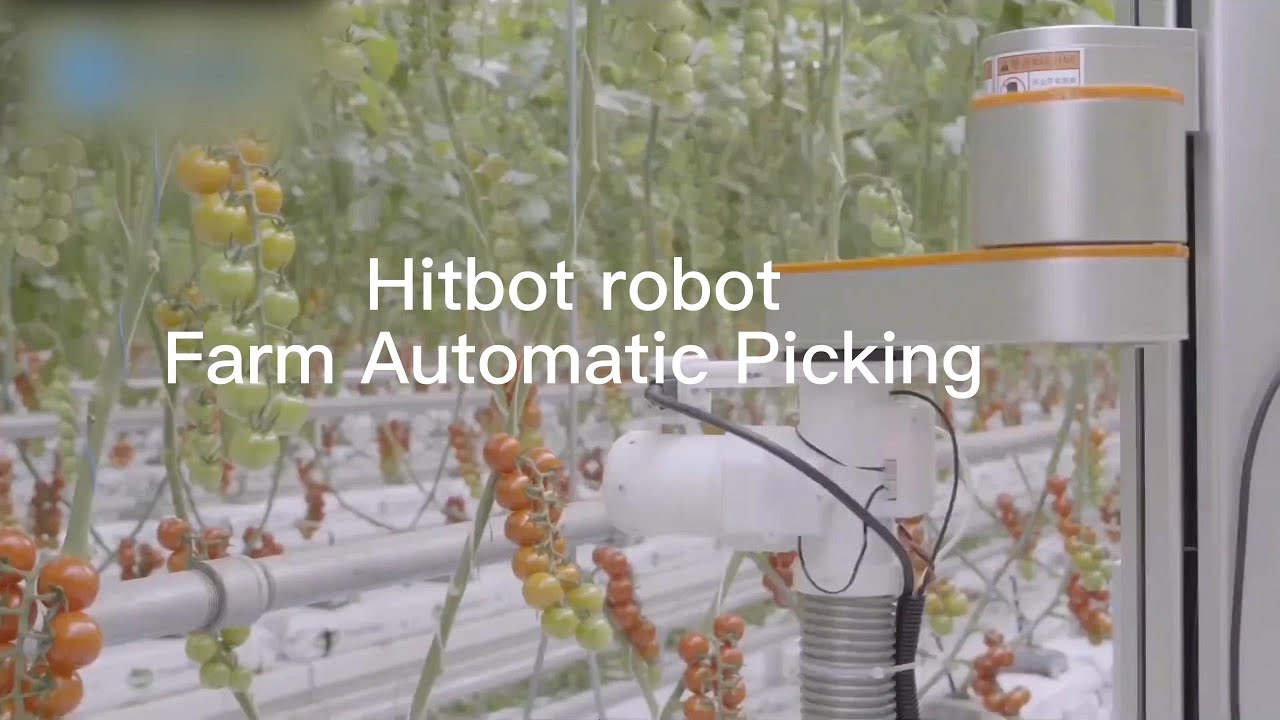 Hitbot Robot Farm Automated Picking Application - YouTube