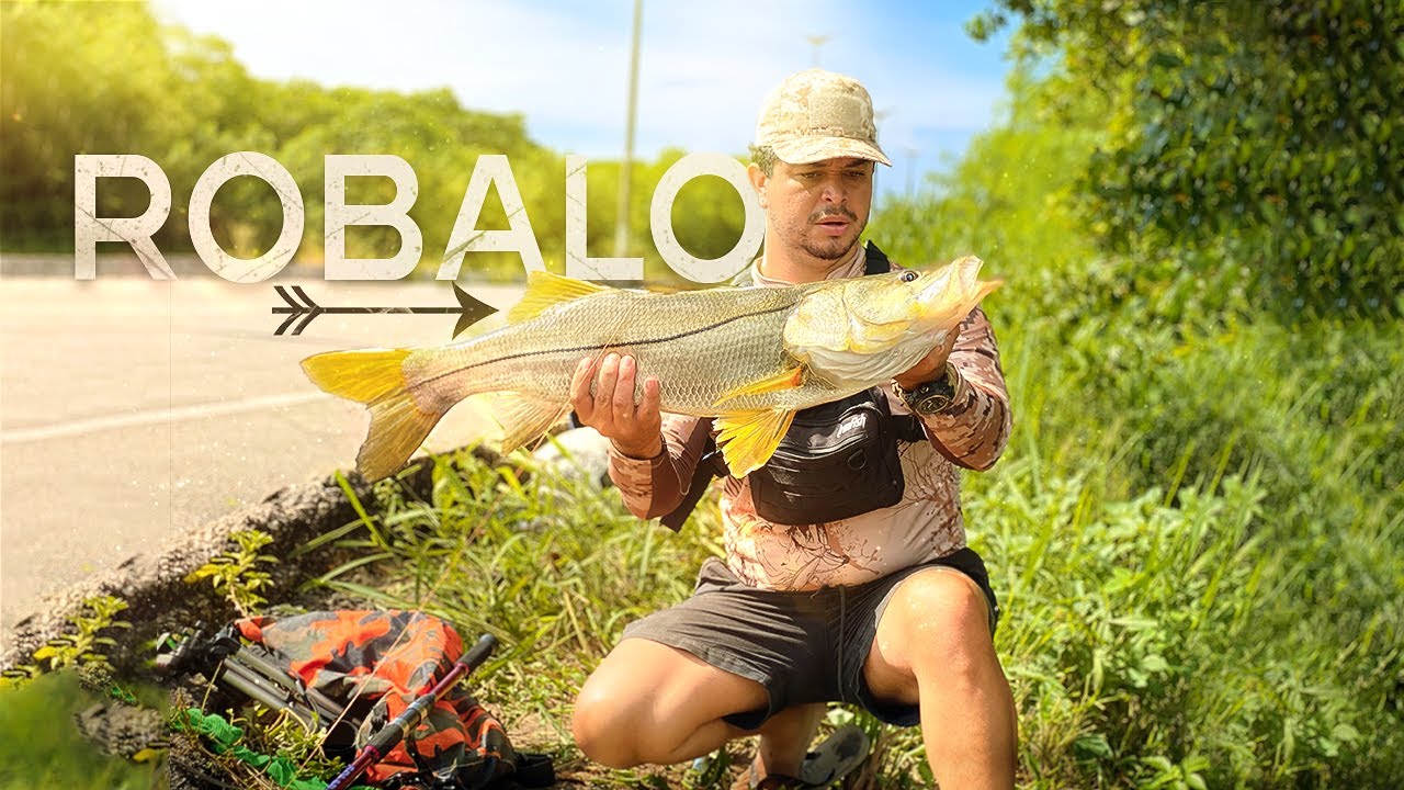 Robalo Flecha no Mangue , Rio Ceará , Pesca na Caucaia-CE CE 090 - YouTube