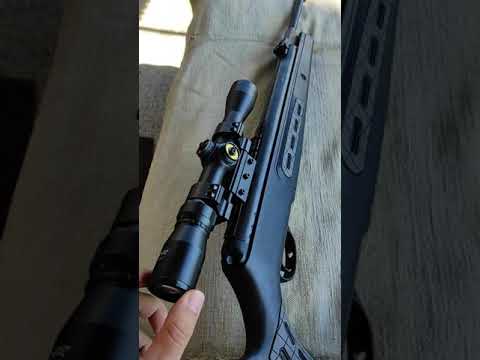 Hatsan mod 125 sniper vortex ve dampa ayak. Kesinlikle almayın...