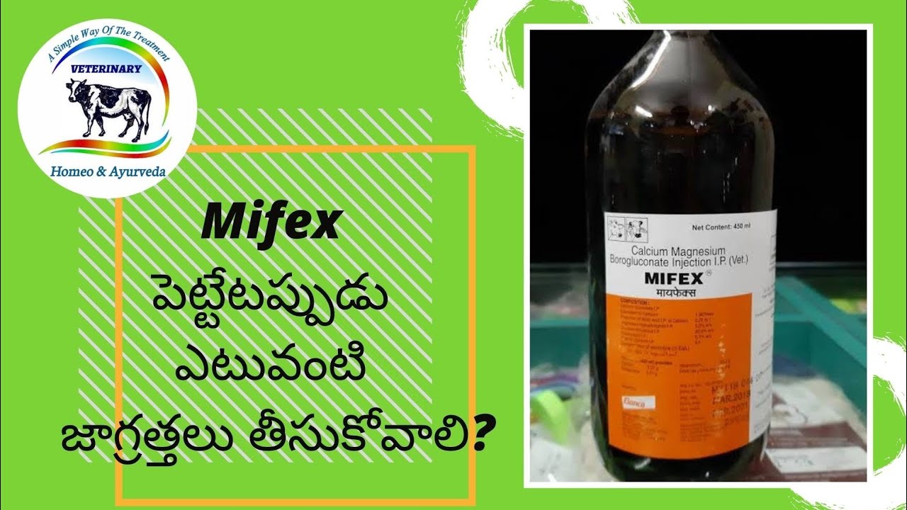 administration of Mifex|mifex ఇచ్చేటప్పుడు తీసుకోవలసిన జాగ్రత్తలు ...