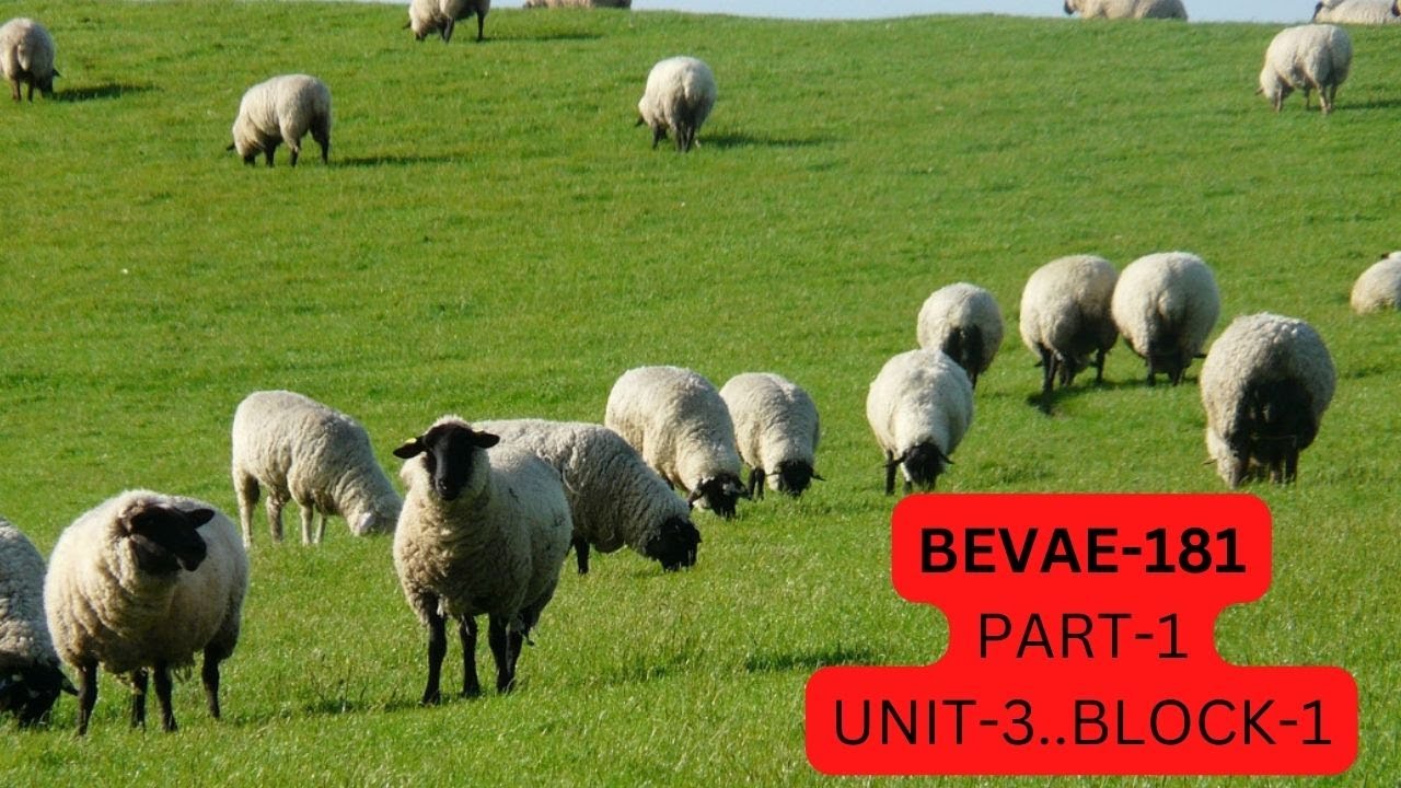 BEVAE-181..Block-1..Unit-3..Major Ecosystems..part-1 - YouTube