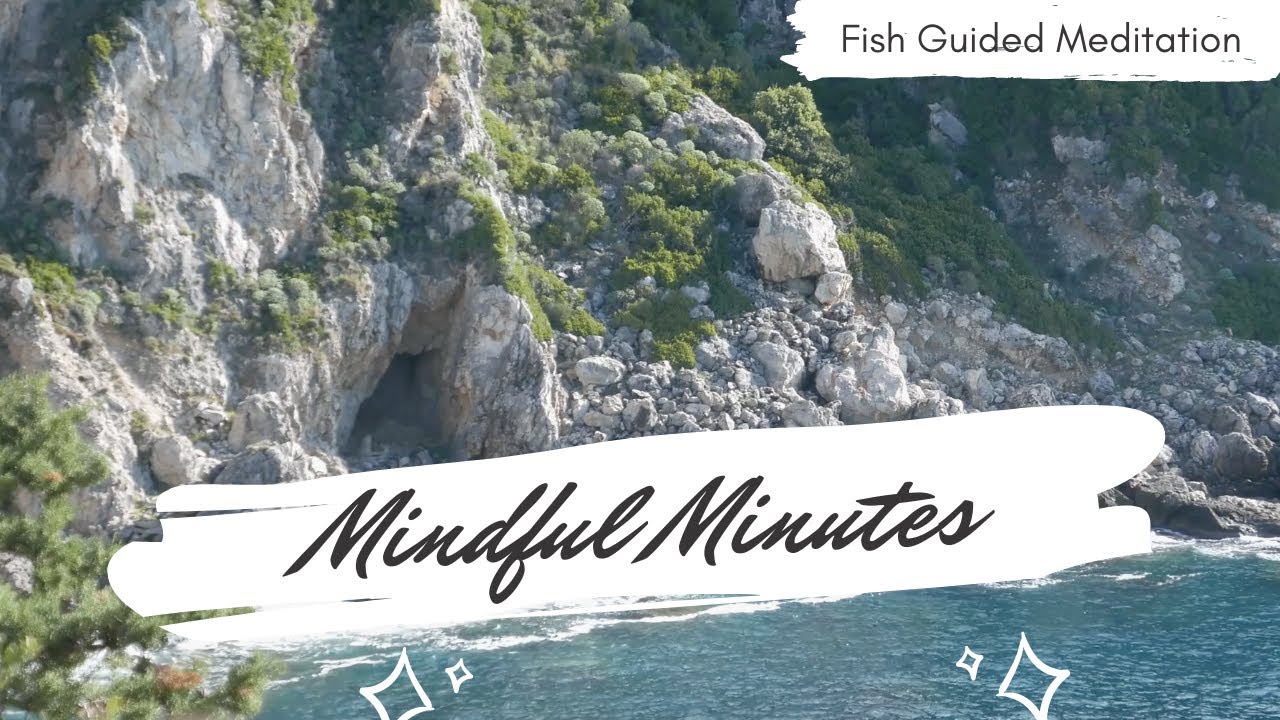 Mindful Minutes: Fish Guided Meditation - YouTube