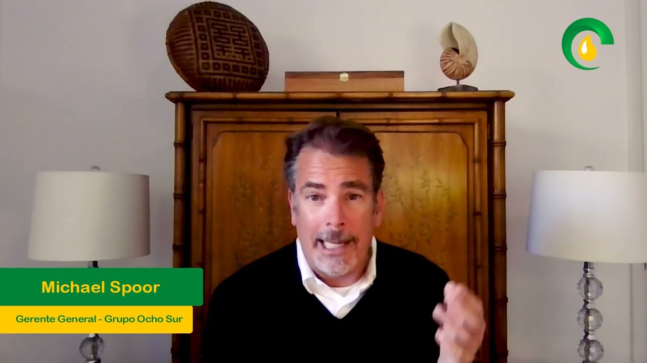 ¡SOMOS OCHO SUR! VIDEO INSTITUCIONAL | PALABRAS DEL CEO - YouTube