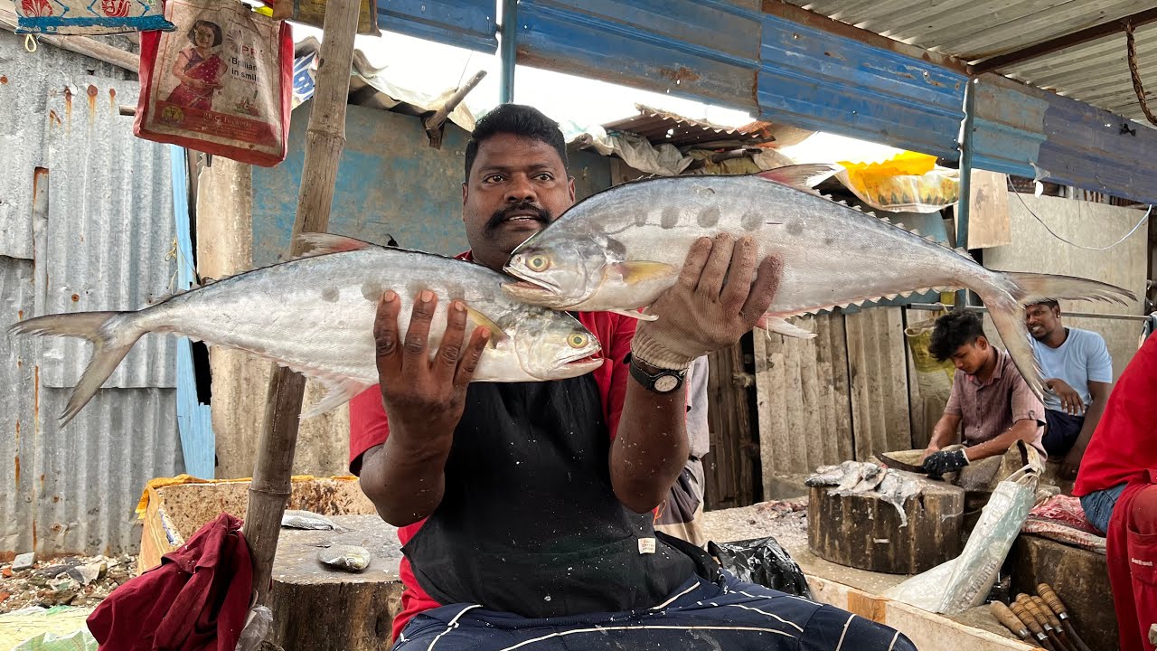 THOL PAARAI FISH 🐠 SKIN REMOVING AND CUTTING BY SPEED SELVAM ⚔️🔥 - YouTube