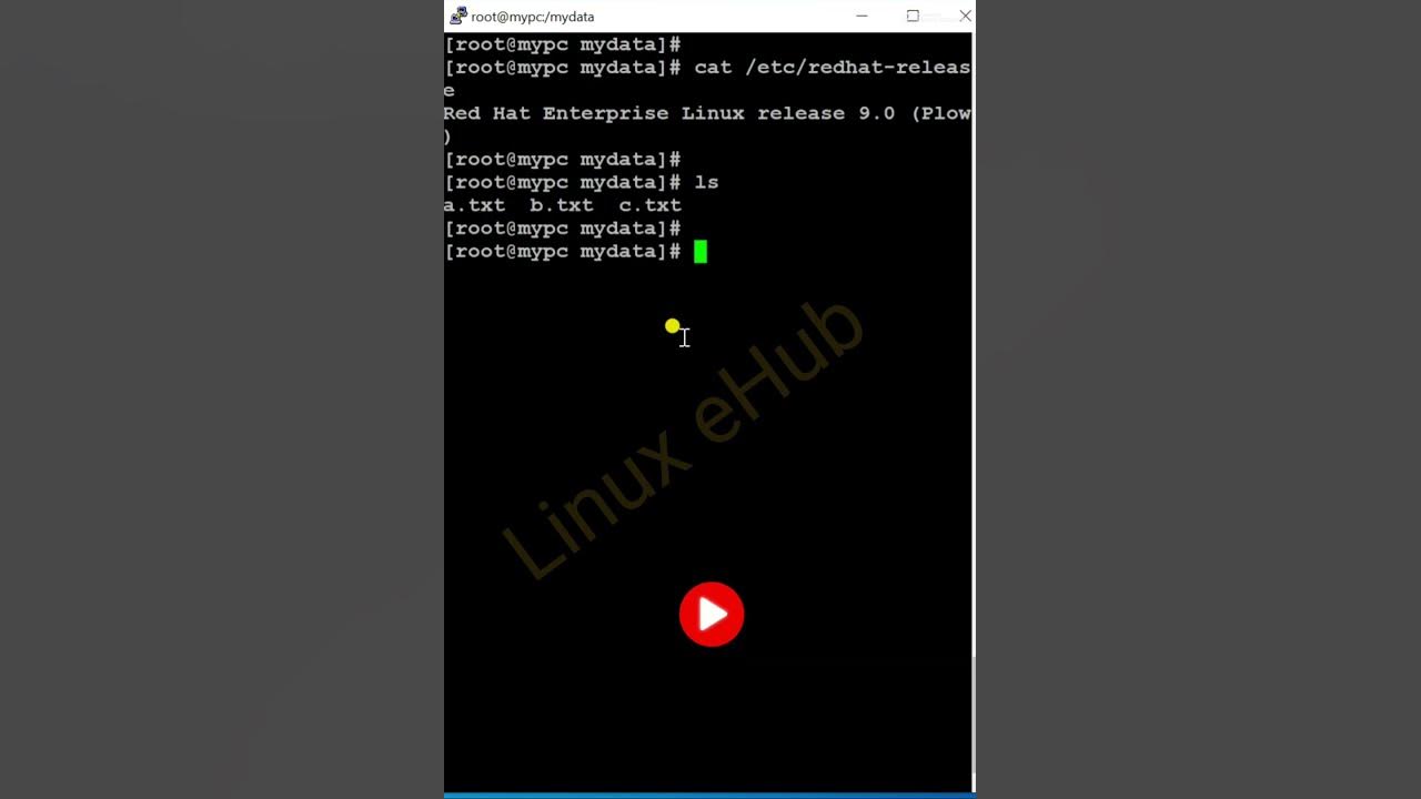 "ls" Command in Linux | RHEL/CentOS/ Ubuntu #linux #linuxtraining #shorts - YouTube