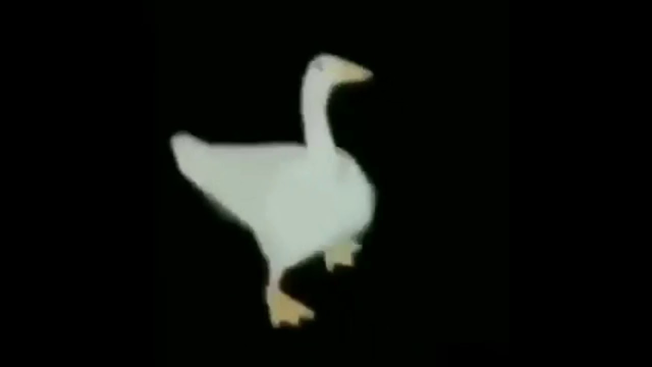 pato re facha bailando Sexy Back - YouTube