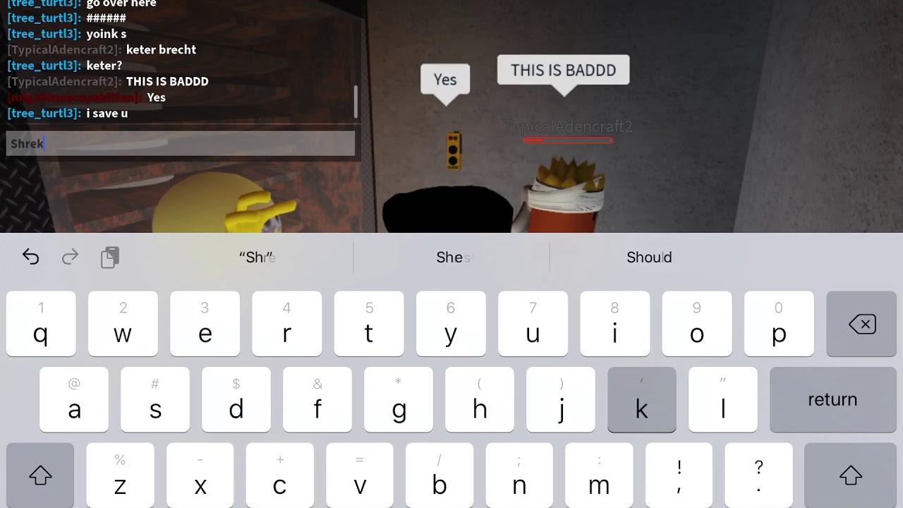 Trapped with vibe check AND shrek in runker 51 - YouTube