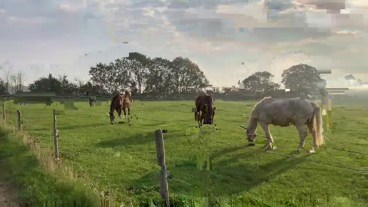 CURC at Springhill Stables - YouTube