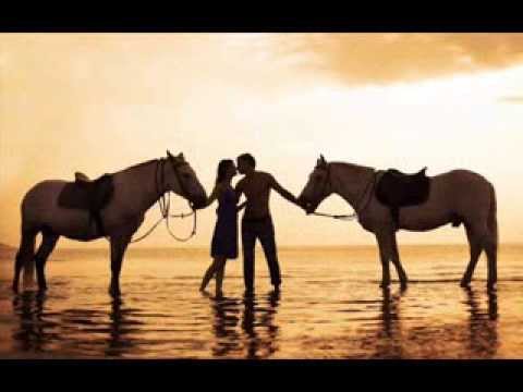 Seni choxxx sevirem  ♥♥♥►NermiN◄♥♥♥