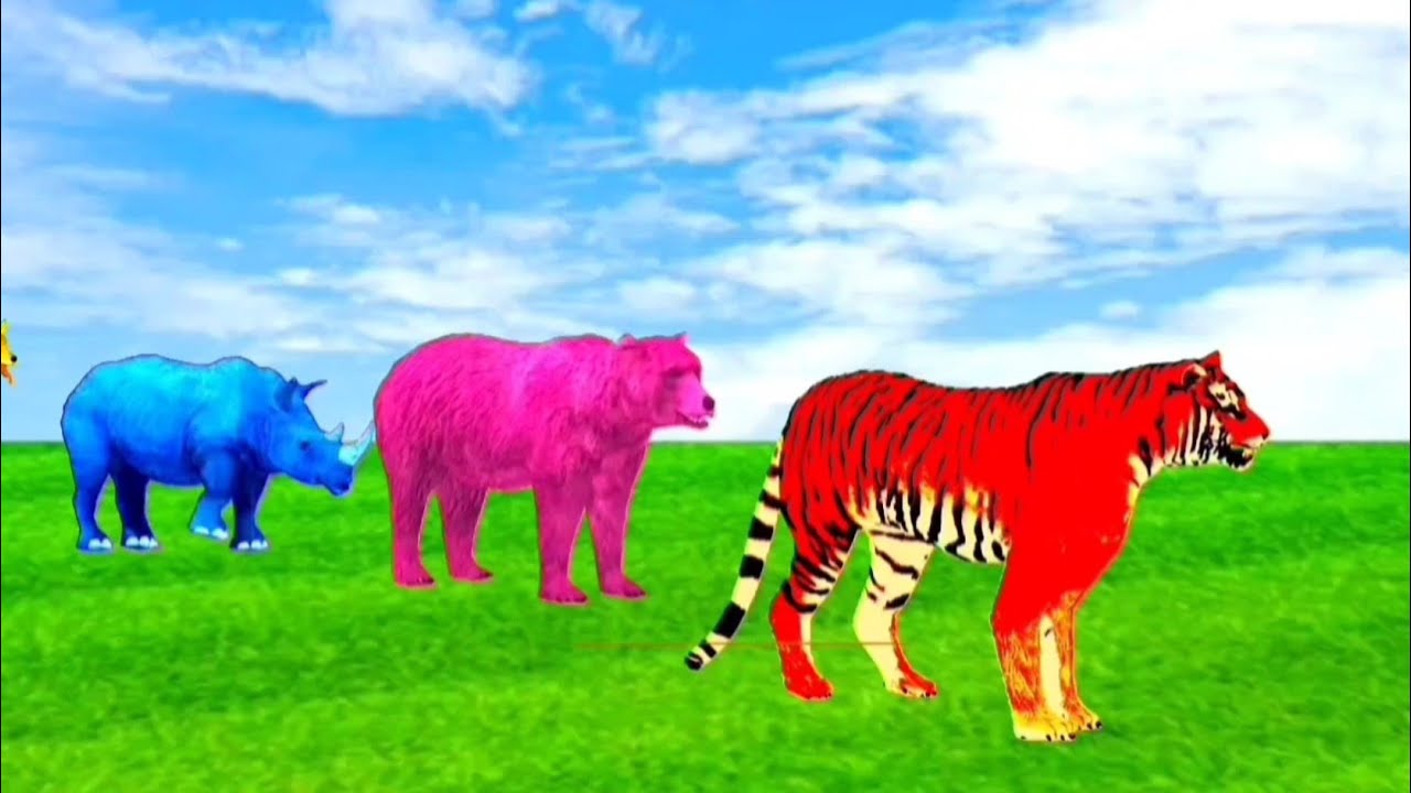 Animal colouring, Tiger croshing || videos || animal - YouTube