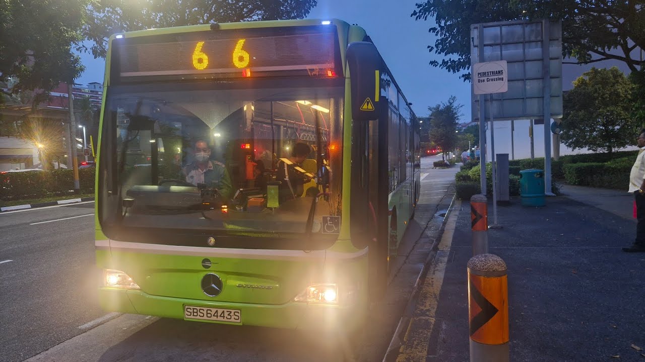 Tower Transit Bus Service 66 Mercedes Benz Citaro SBS6443S - YouTube