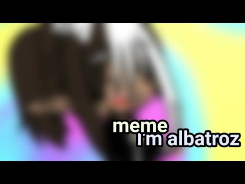 I'm albatroz meme/ GC - YouTube
