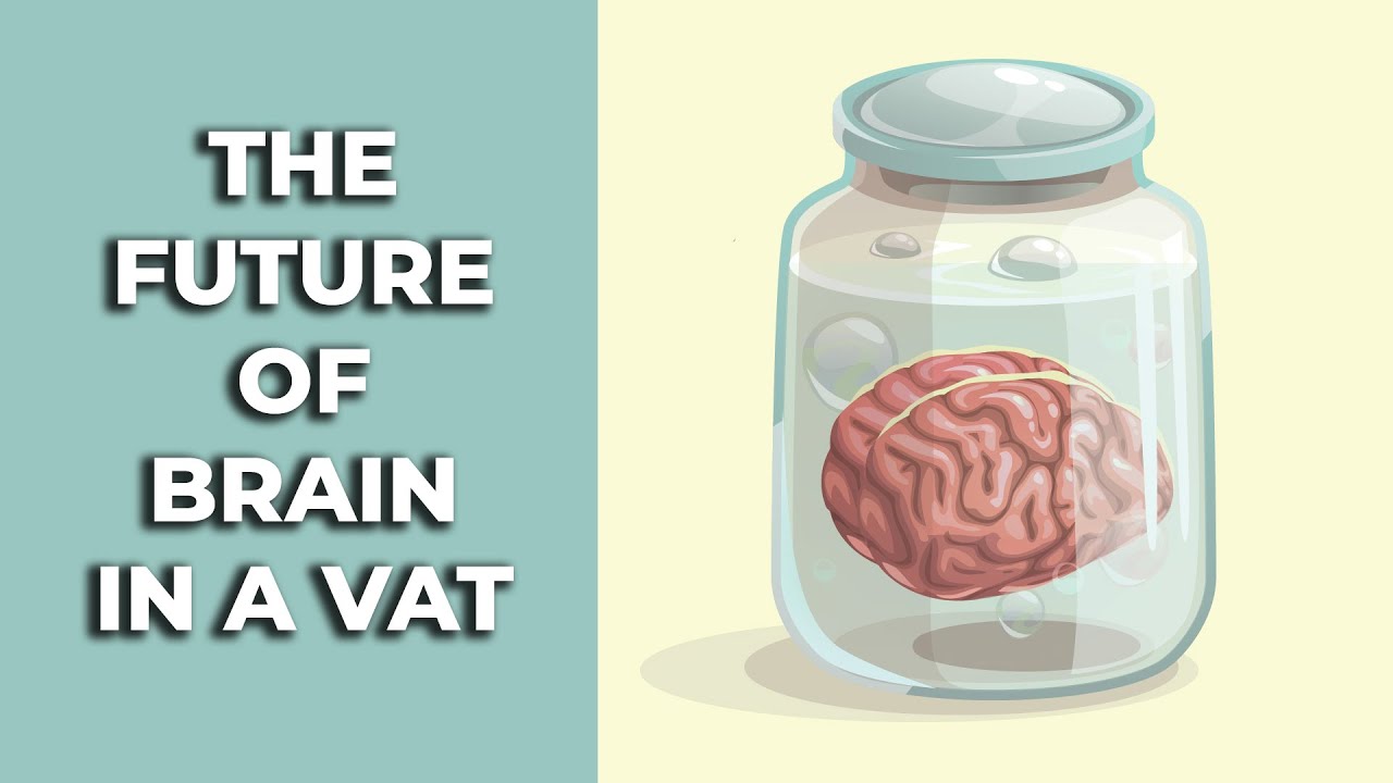 The Future of Brain in a Vat - YouTube