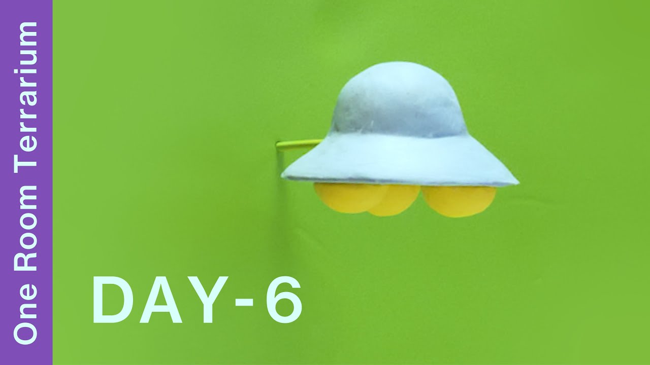 [DAY 6] ねんどでUFOを飛ばそう - One Room Terrarium - YouTube