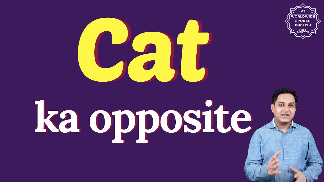 Cat ka opposite word kya hota hai | opposite of Cat in English and ...