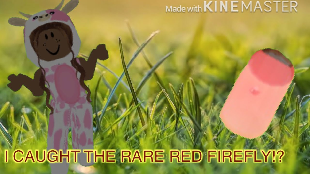 I catch a rare red firefly 😱 [islands] - YouTube