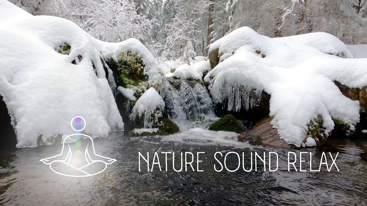 3 hours Gentle stream sounds | Spring forest | Focus or deep sleep ...