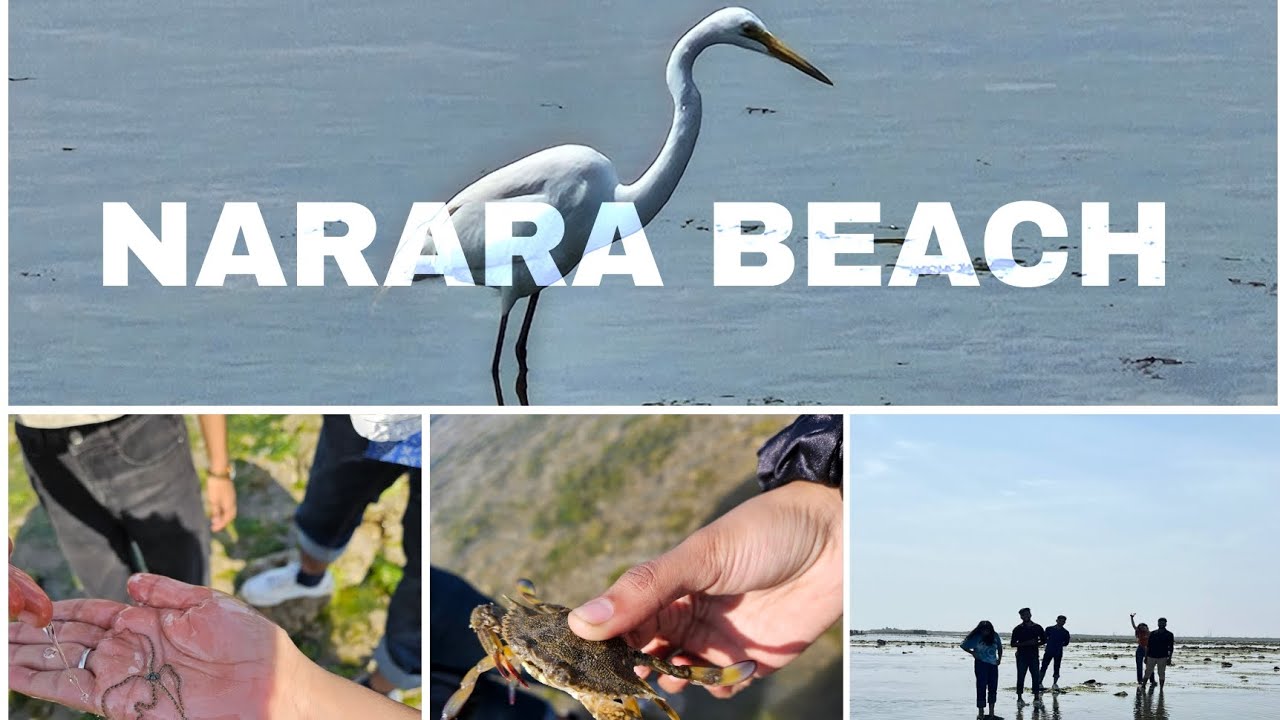 NARARA BEACH ⛱️ GUJRAT/ NARARA ISLAND - YouTube