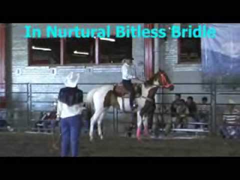 Hot Pink Barrel Horse in Nurtural Bitless Bridle - YouTube