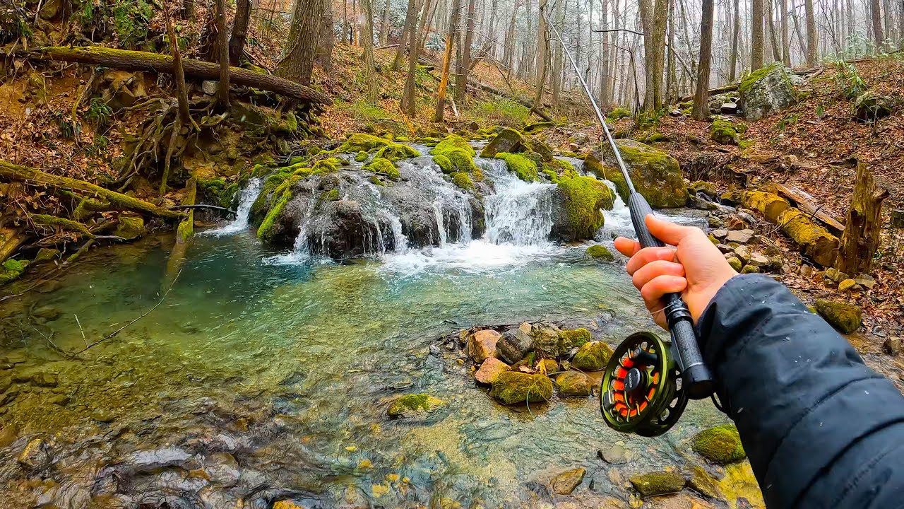 Fly Fishing a Beautiful Small Stream! || $1000 Rod and Reel Combo ...