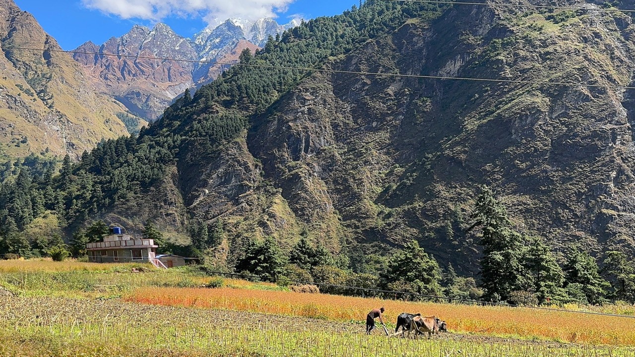 Very Relaxing and Peaceful Himalayan Village Life | Living in Tune with ...