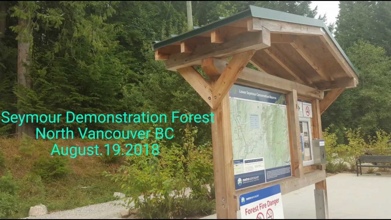 Seymour Demonstration Forest, North Vancouver BC #hiking #trails # ...