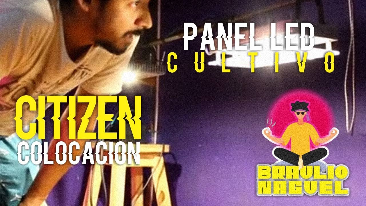 🍀PANEL LED COB Citizen de Cultivo! CLU0481216 Leds comparacion con Led ...